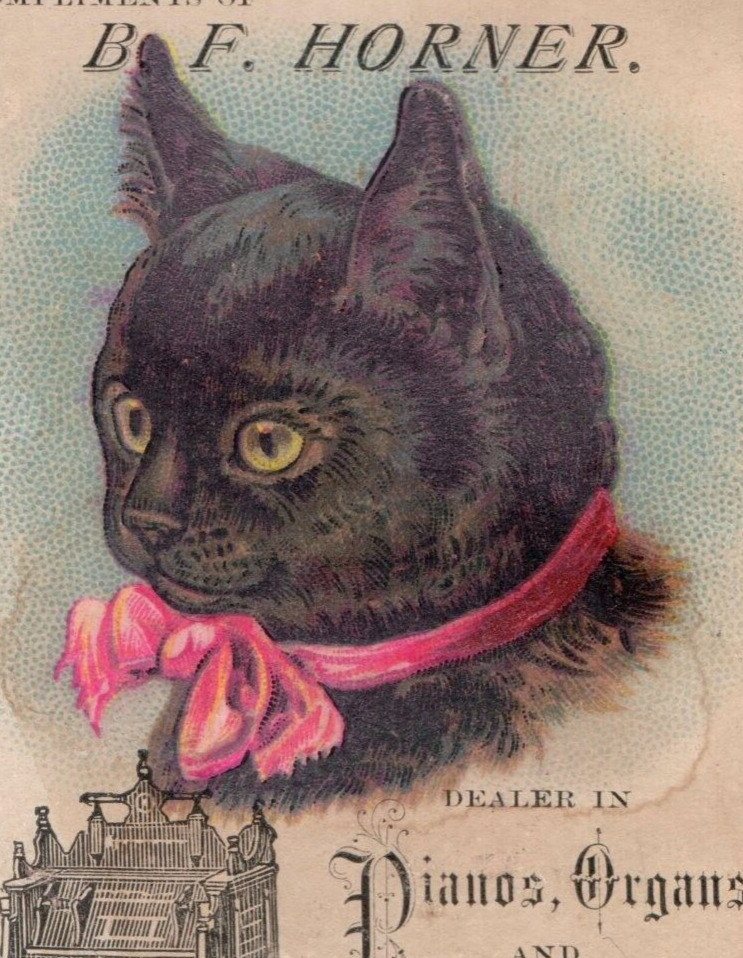 1880s B.F. Horner Pianos Organs Adorable White Cat F148 | Ephemera ...