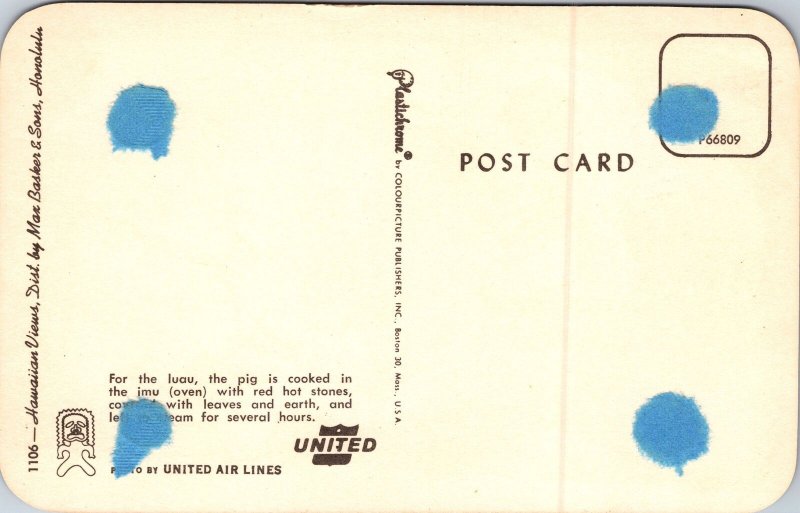 Vintage Postcard Hawaiians Cook PIG in the IMU Oven for the Luau ...