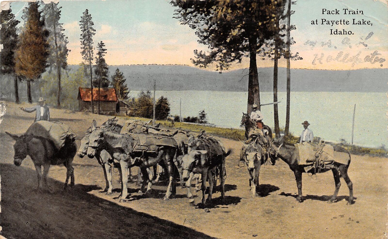 J40/ Payette Lake Idaho Postcard c1910 Pack Train Mules Cowboys 200 ...