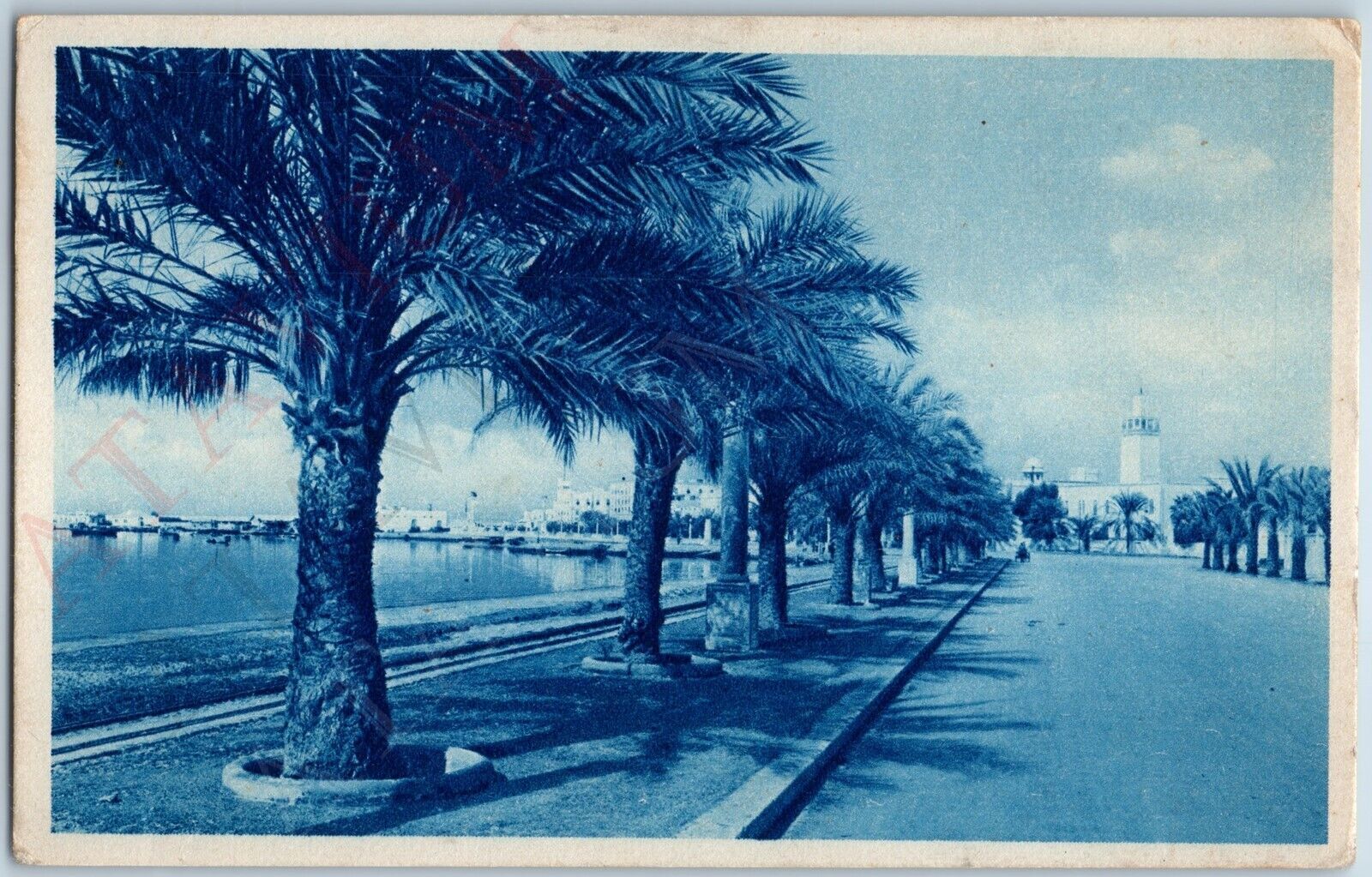 c1930s Benghazi, Libya Seafront Beach Sea City Palm Tree Africa ...