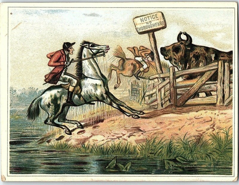 1880's Oddball Steeple Chase Horse Riders Bull Comical No Thorughfare ...