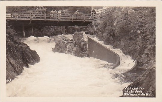 Alaska Ketchikan Fish Ladder At The Falls Real Photo | United States ...