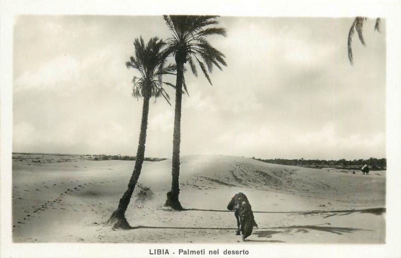 RPPC Libya Libia 1933 real photo postcard - Palm trees in desert ...