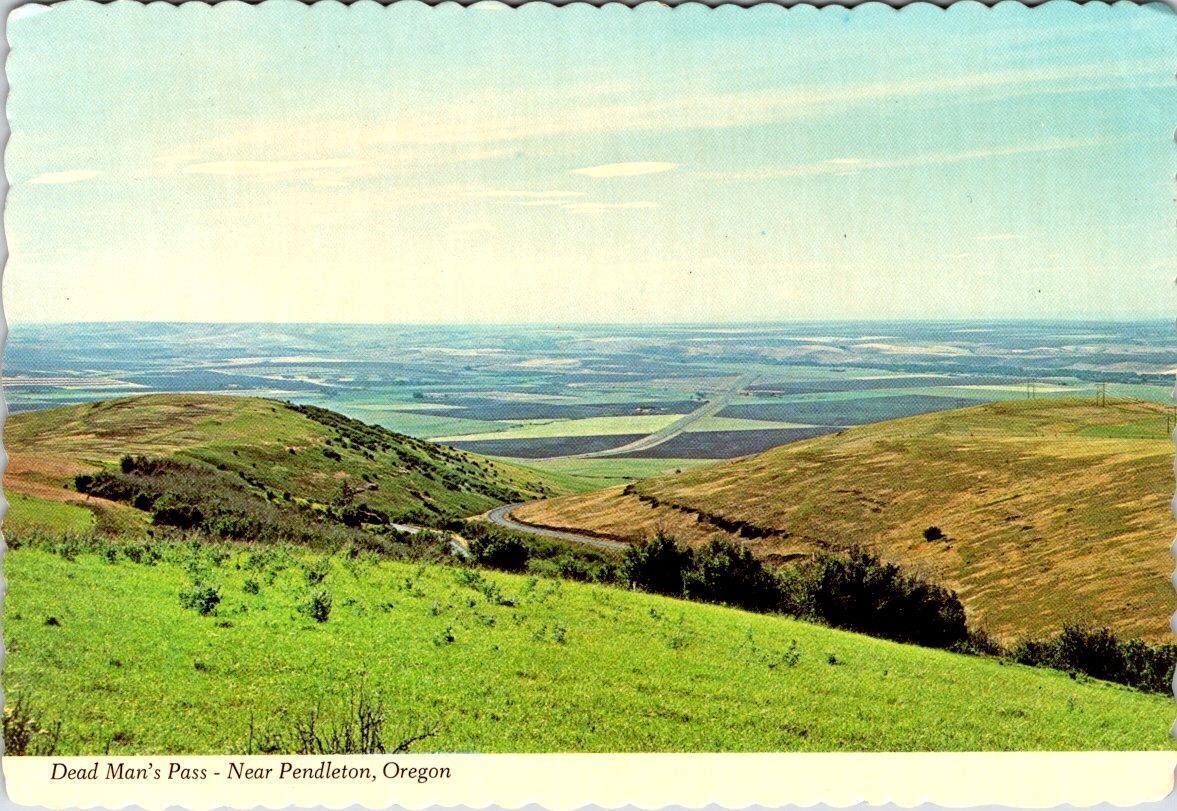 2~4X6 Postcards Pendleton, OR Oregon CITY & DEAD MAN'S PASS Bird's Eye ...