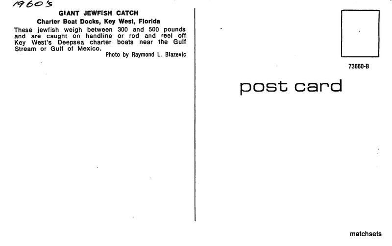 1960s Key West Florida Giant Jewfish catch charter Boat Docks postcard ...