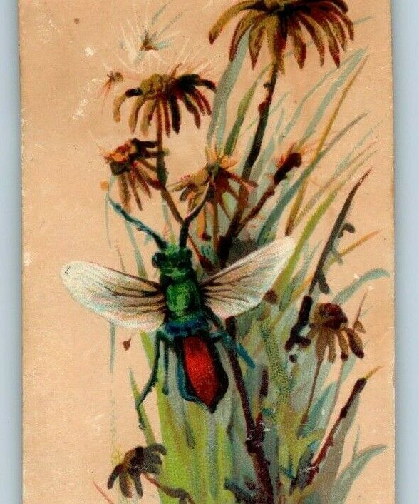 1870's-80's New Year's Colorful Insect Beetle Bug Poem On Back P192 ...