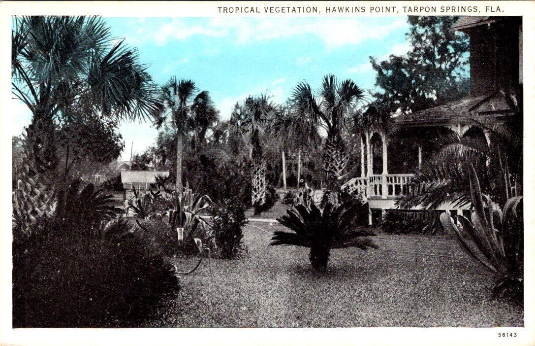 Tarpon Springs, FL Florida HAWKINS POINT Pavilion~Plants ca1920's ...