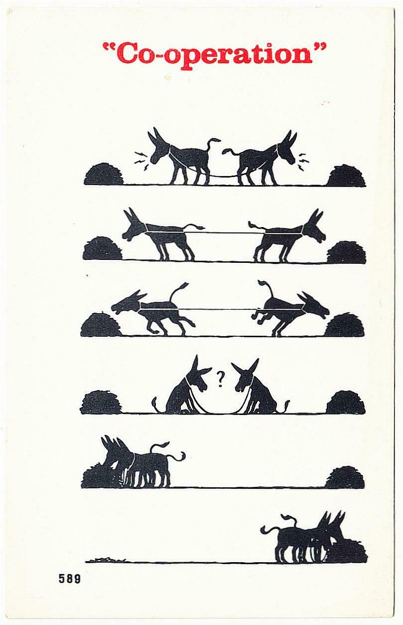 Cooperation Two Donkeys and Two Piles of Hay Comic Postcard 1950s ...