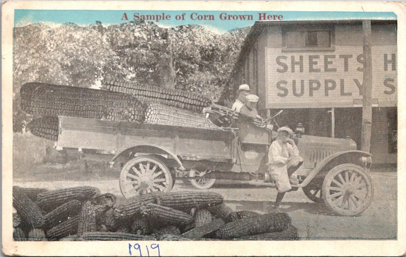 Exaggerated Postcard A Sample of Corn Grown Here Giant Corn on the Cob ...
