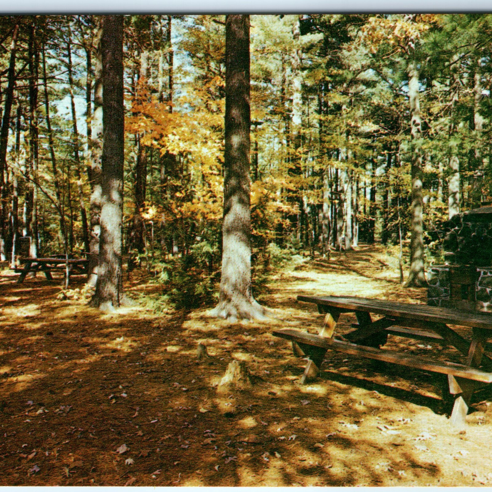 c1970s Westfield, MA Picnic Area Stanley Park Camp Stone Stove Chrome ...