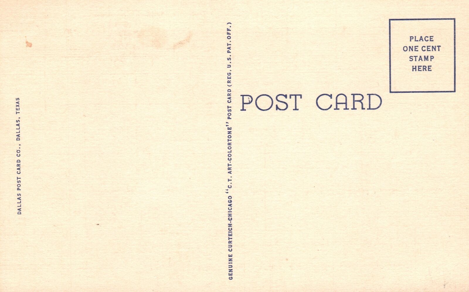 Vintage Postcard 1930's View of The Texas Cowboy Riding a Jack Rabbit ...