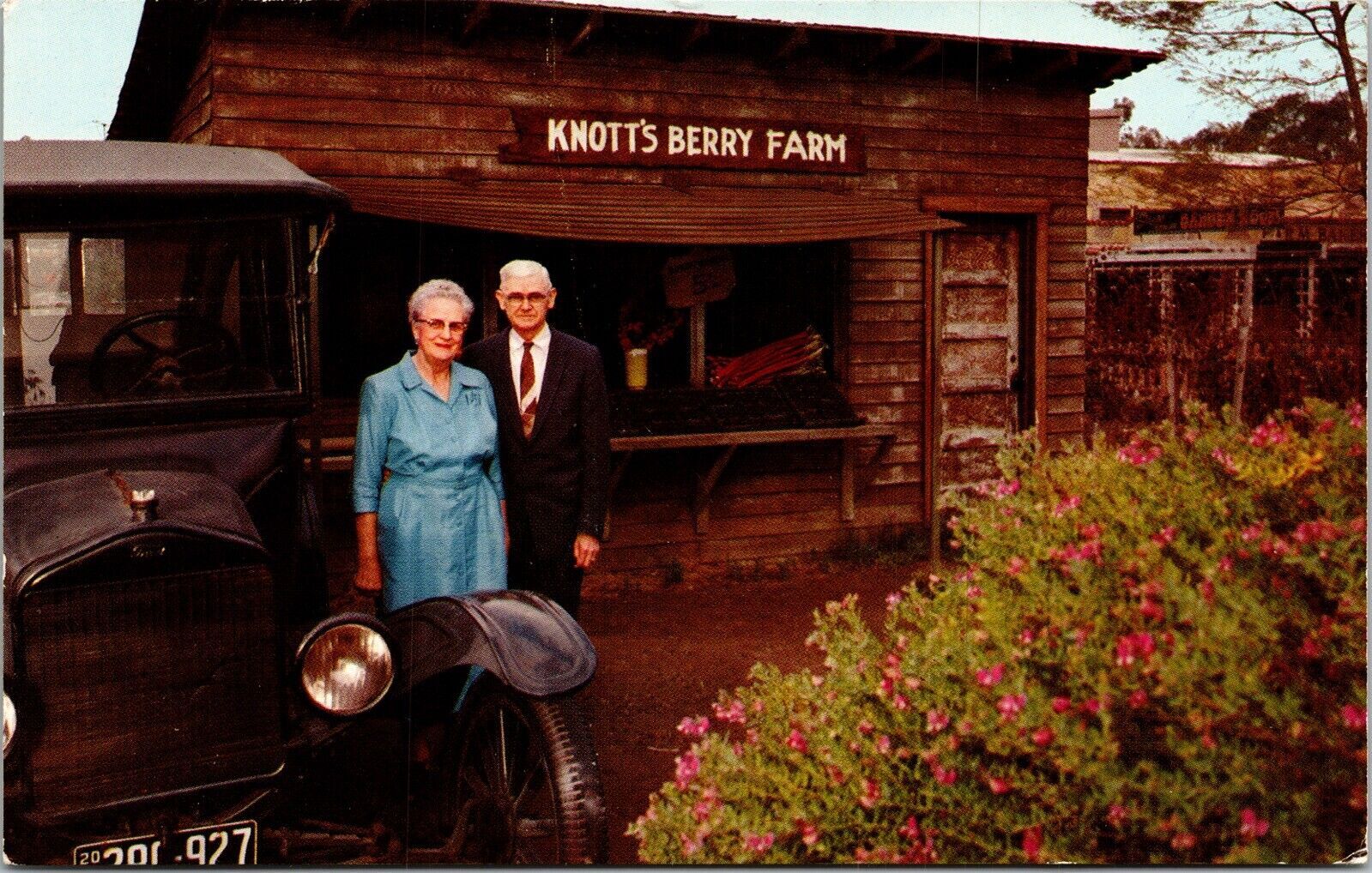 Old Berry Stand Knotts Berry Farm Ghost Town California Chrome Postcard ...