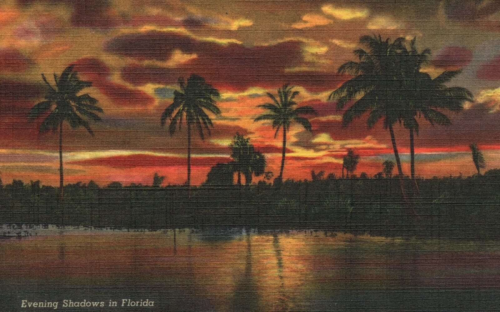Vintage Postcard 1930's Evening Shadows in Florida FL Sunset Palm Trees ...