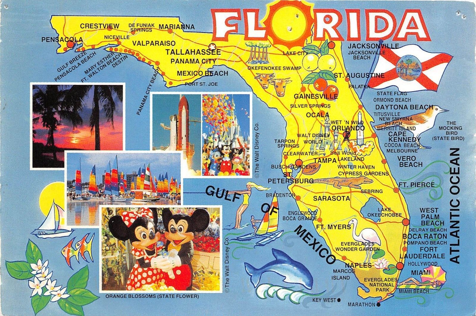BG21087 the walt disney florida usa map cartes geographiques | United ...