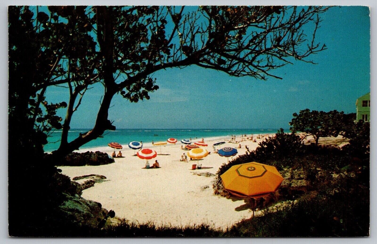 Postcard Bermuda Beach Sea Sand Sky Holiday Barnacle Tea Room S Shore ...