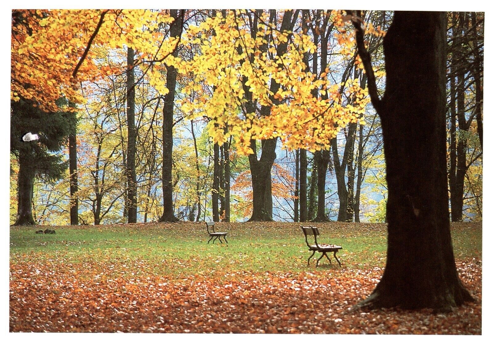 Vechta Germany Eine Karte Aus Dem Scenic European Park Chrome WOB ...
