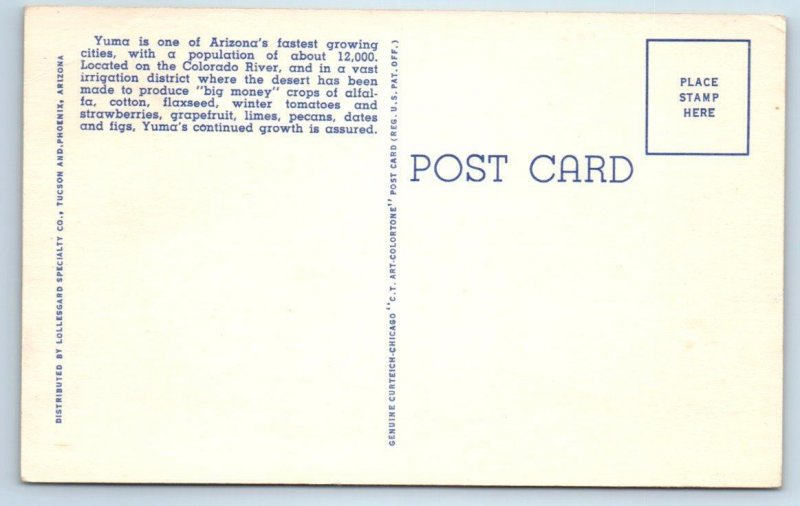 YUMA, Arizona AZ ~ Looking South MAIN STREET Scene ca 1950s Linen ...