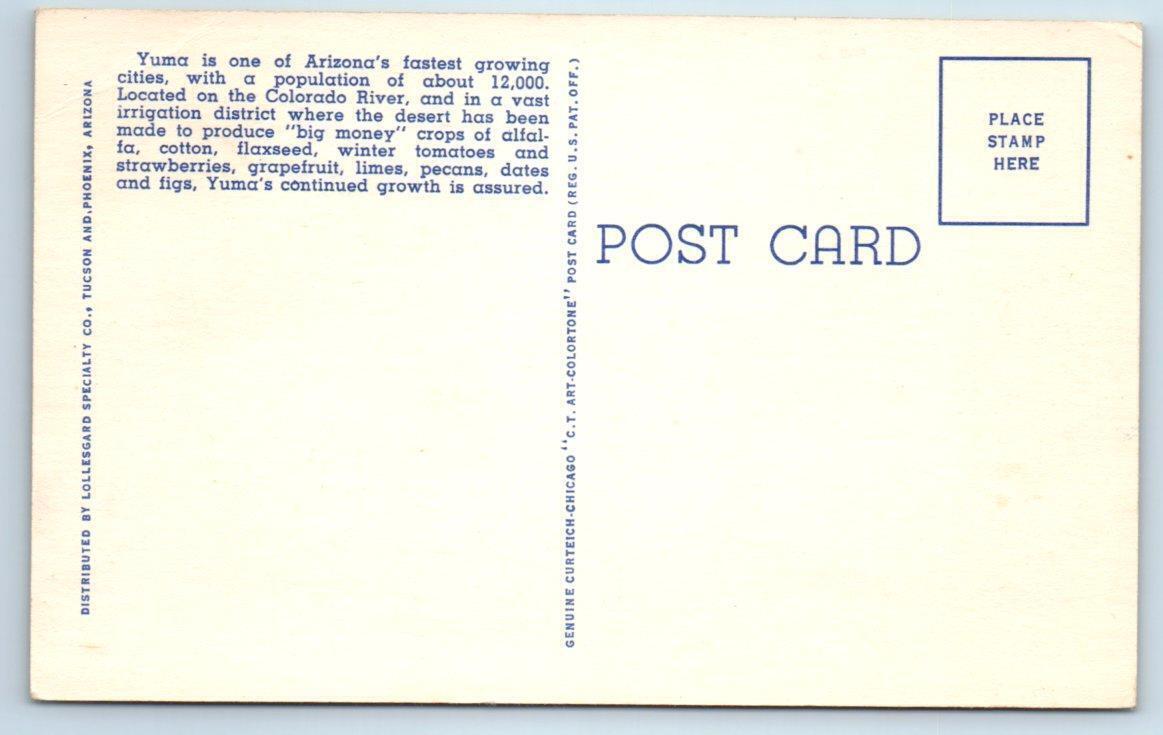 YUMA, Arizona AZ ~ Looking South MAIN STREET Scene ca 1950s Linen ...