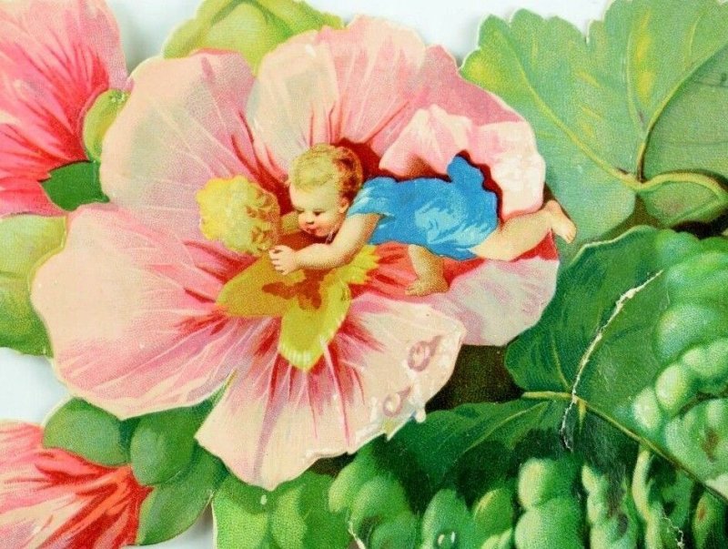 Lovely Die Cut Victorian Fairy Cherub Baby In Giant Flower Pink Scrap ...