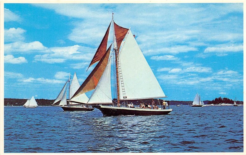 Friendship Maine 1980s Postcard Friendship Sloop Races Sailboats ...