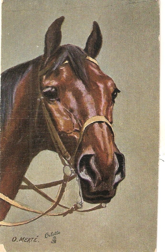 ""O. Merte. Horse's Head Tuck Oilette Man's Best Friend Ser. PC # 9816 ...