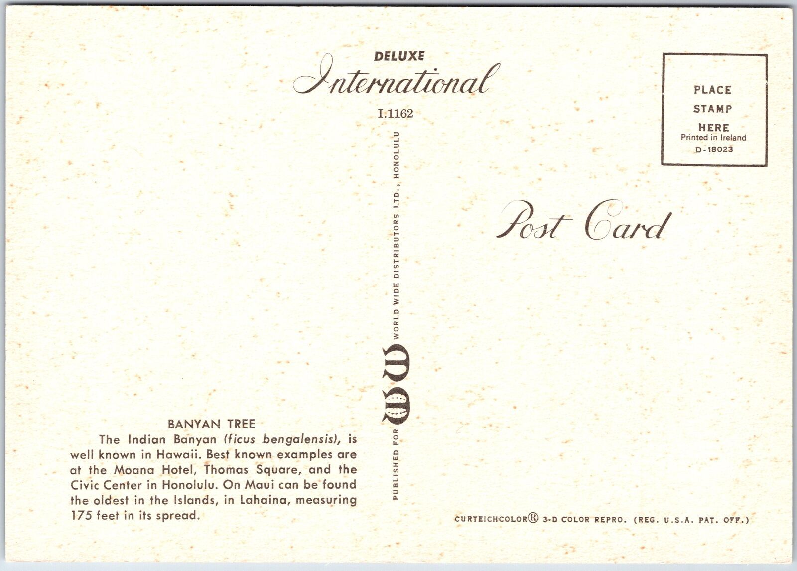 Vintage Continental Size Postcard the Indian Banyan Tree Well Known in ...