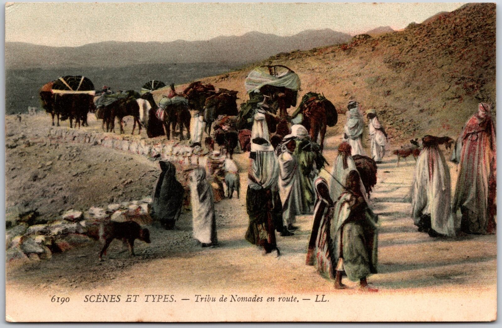 Scene Et Types Fribu De Nomades En Route Algeria Postcard | Africa ...