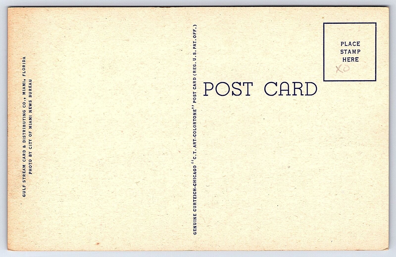 Vintage Postcard Fish Caught along the Overseas Highway Florida Keys ...