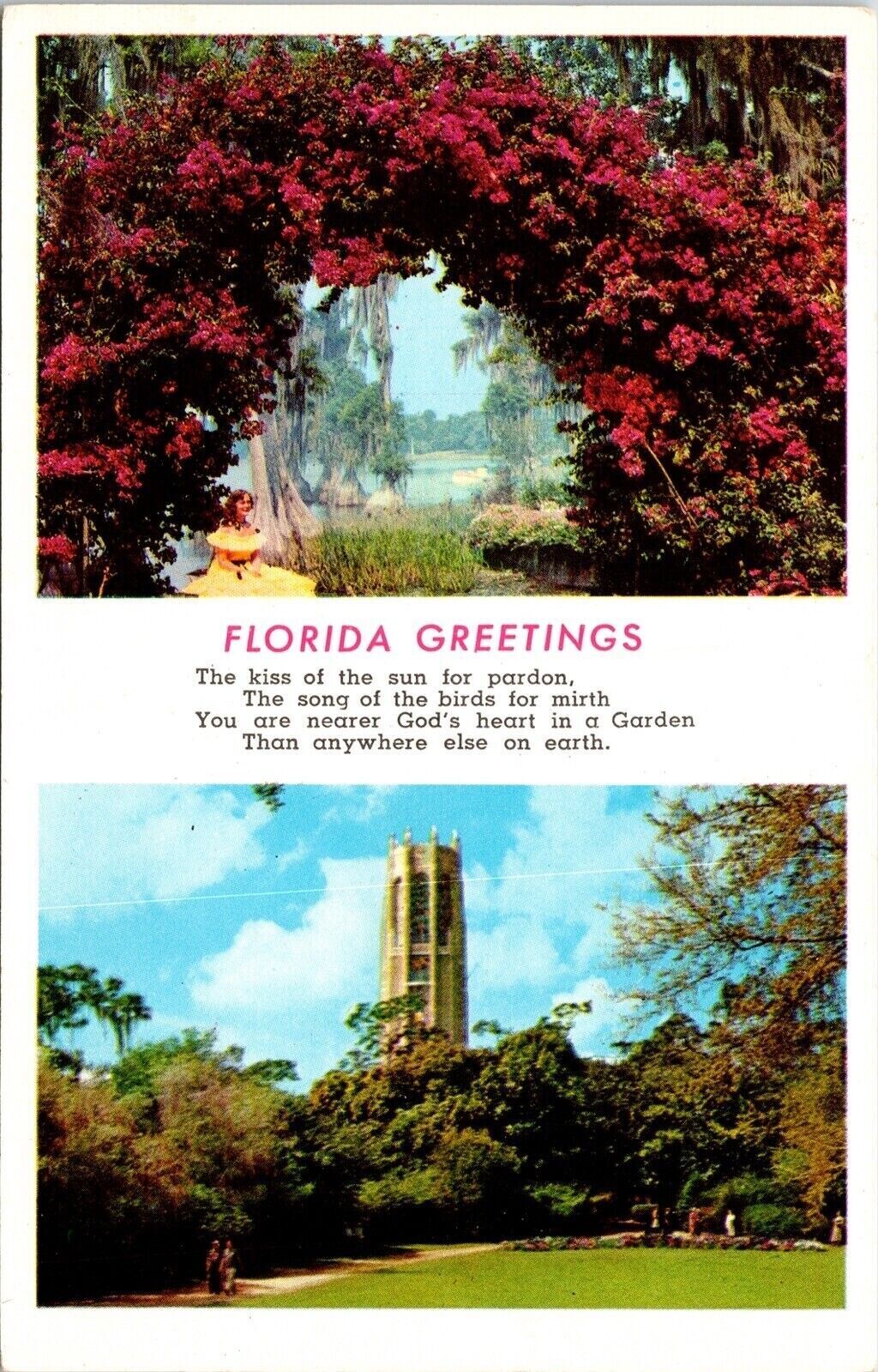 Florida Greetings Poem Bougainvillea Cypress Gardens Singing Tower Dual ...