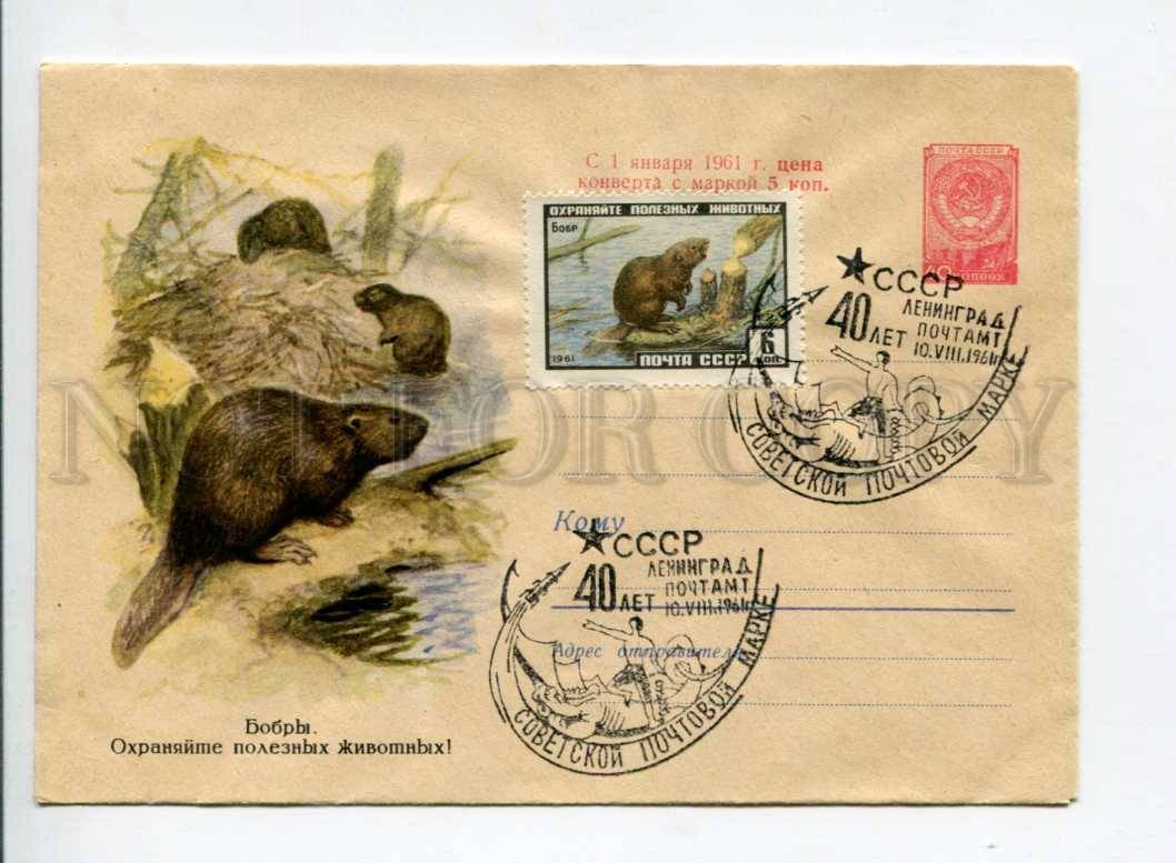 294795 USSR 1960 year Komarov Protect useful animals beavers postal ...