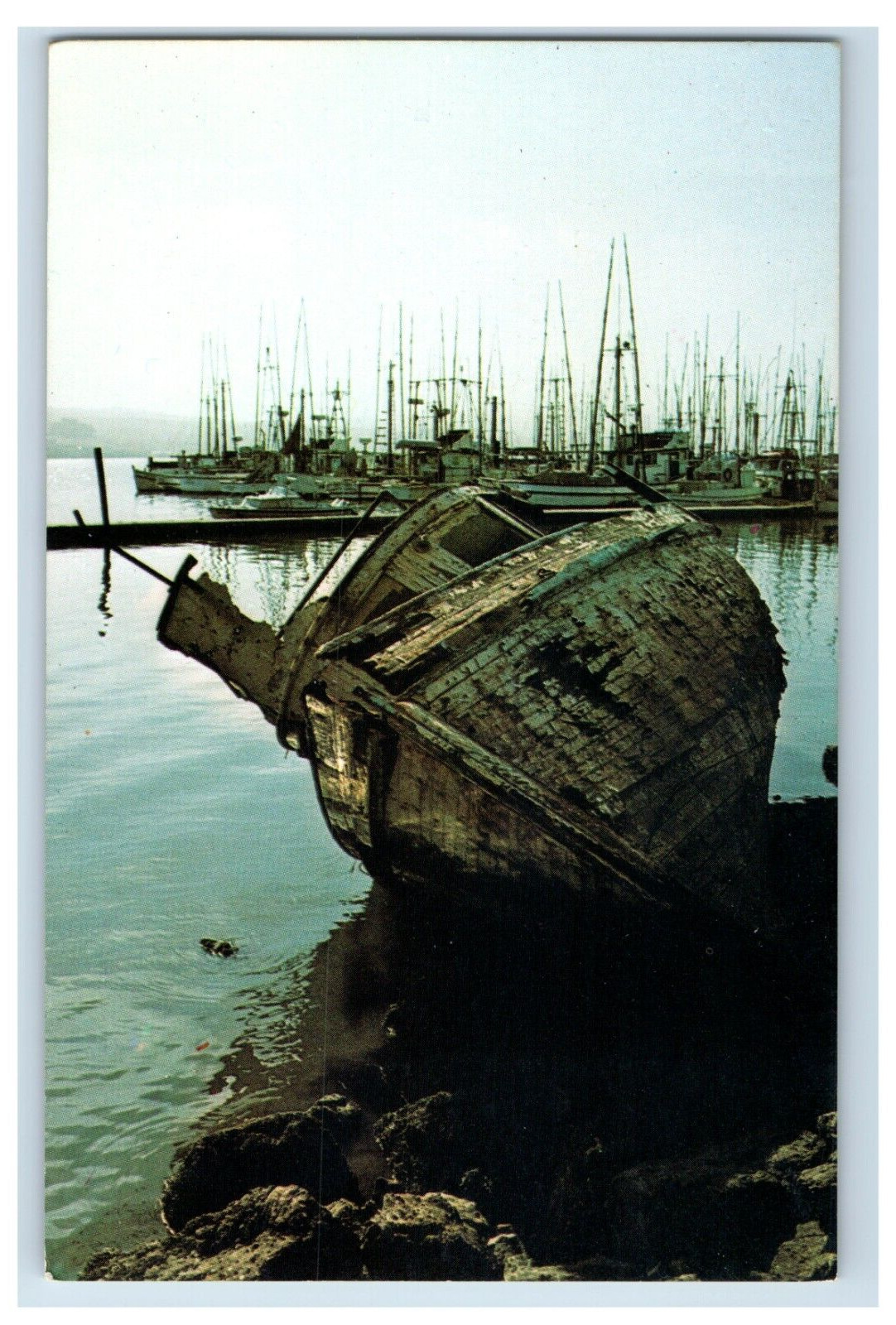 Vintage Ruined Ship Bodega Bay, California. Postcard P71E | United ...