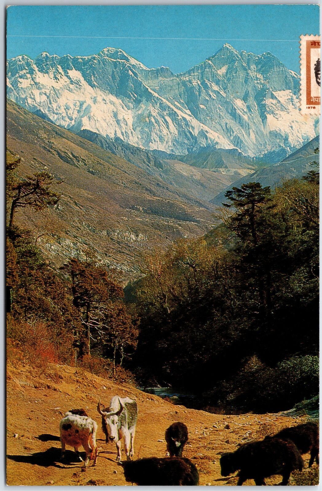 Vintage Postcard the Mount Everest Nu-Tse and Lho-Tse Ranges Nepal ...