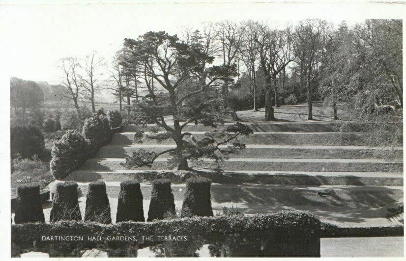 Devon Postcard - Dartington Hall Gardens, The Terraces - Real Photo ...