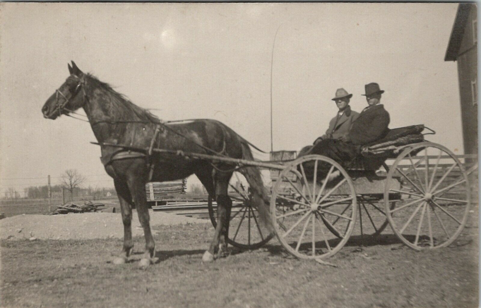 RPPC Handsome Dapper Men Beautiful Tall Horse and Runabout Carriage ...
