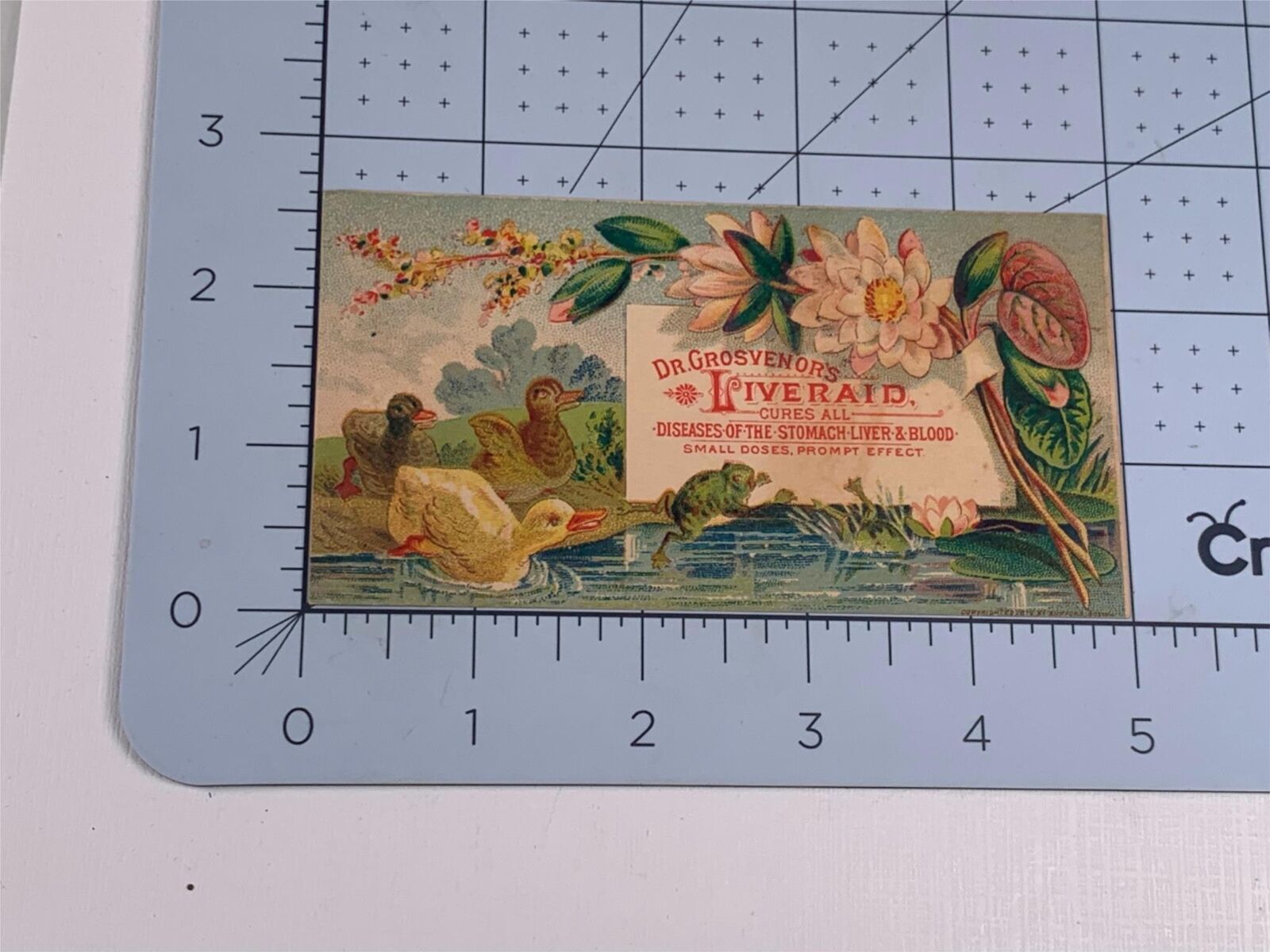 Victorian Trade Card Dr Grosvenor's Liveraid Cures Diseases Stomach ...