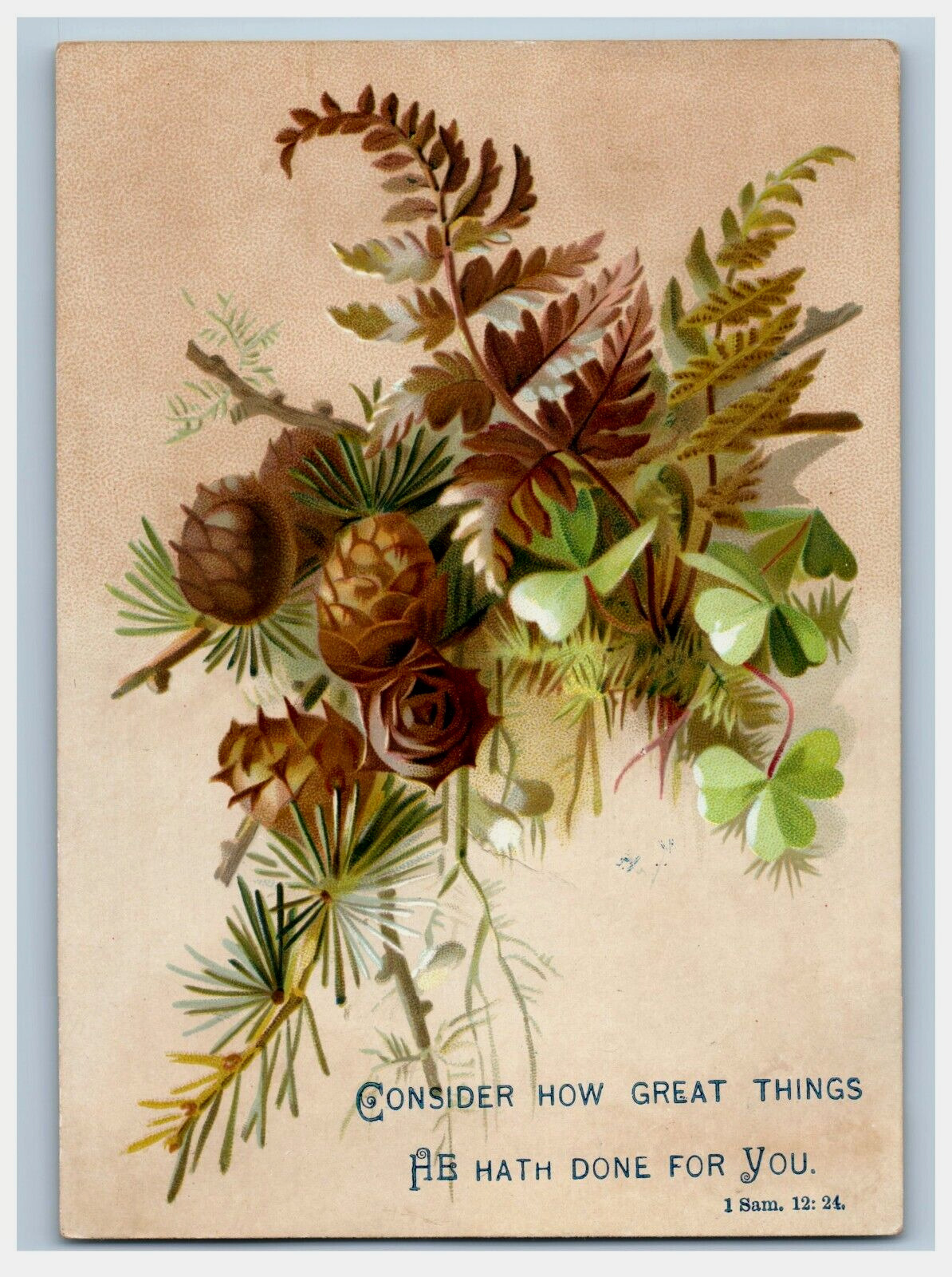 1880s Victorian Religious Card Bible Quote Ferns Pine Cones Clover #6C ...