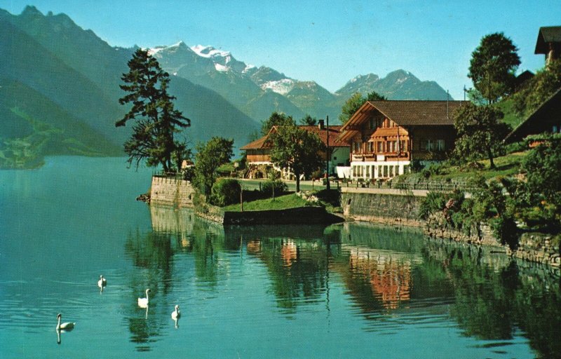 Vintage Postcard Ebligen am Brienzersee Scenic Lakeview Houses in ...