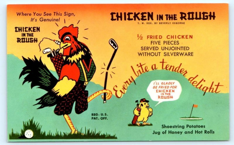 NEW MARKET, VA Virginia ~ MD'S CHICKEN in the ROUGH c1950s Roadside ...