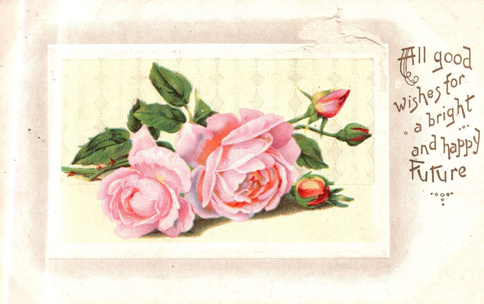 Vintage Postcard 1911 All Good Wishes For A Bright & Happy Future Pink ...