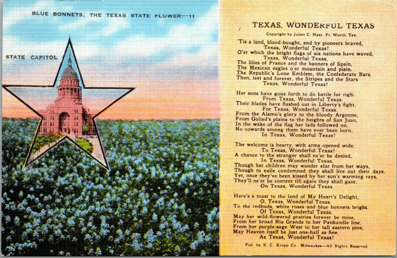 Vtg 1930s Blue Bonnets State Flower Texas Wonderful TX Poem Linen ...