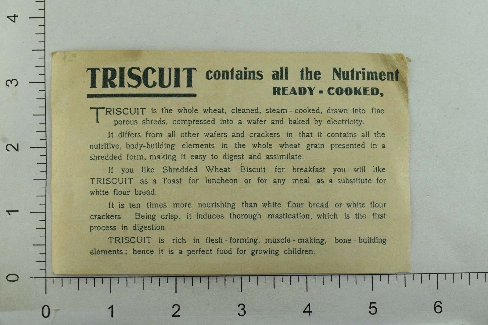 1890's Triscuit Shredded Whole Wheat Wafer Coffee Cup Saucer &M ...