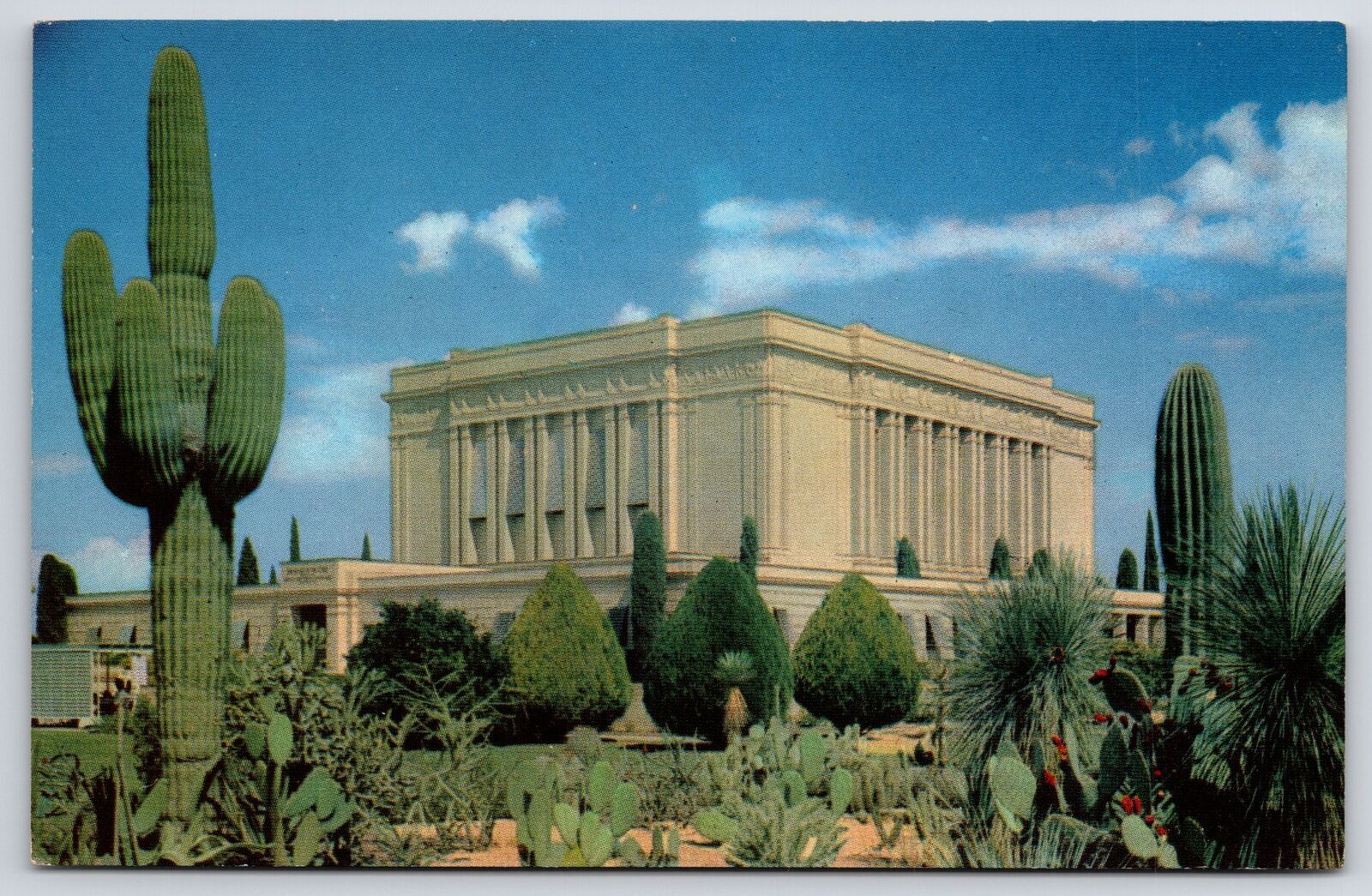Postcard The Mormon Temple Building Structure & Giant Cactus Plants ...