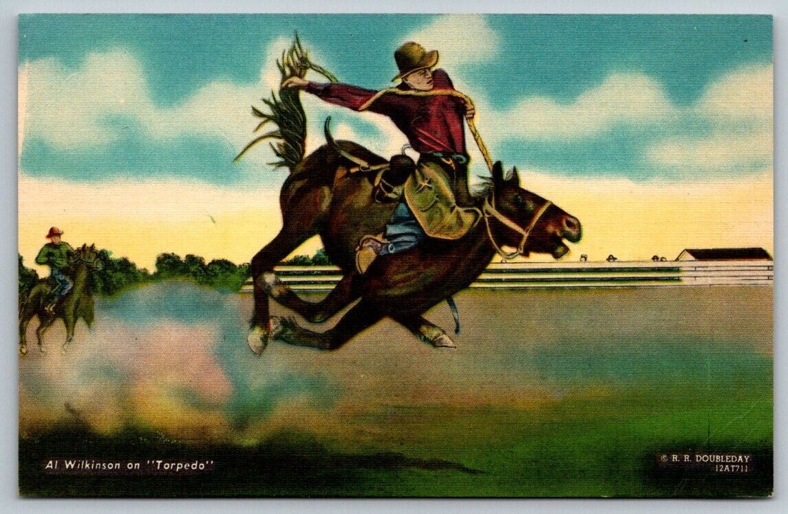 Vintage Postcard - Al Wilkinson on Torpedo Rodeo Cowboy Horse | United ...