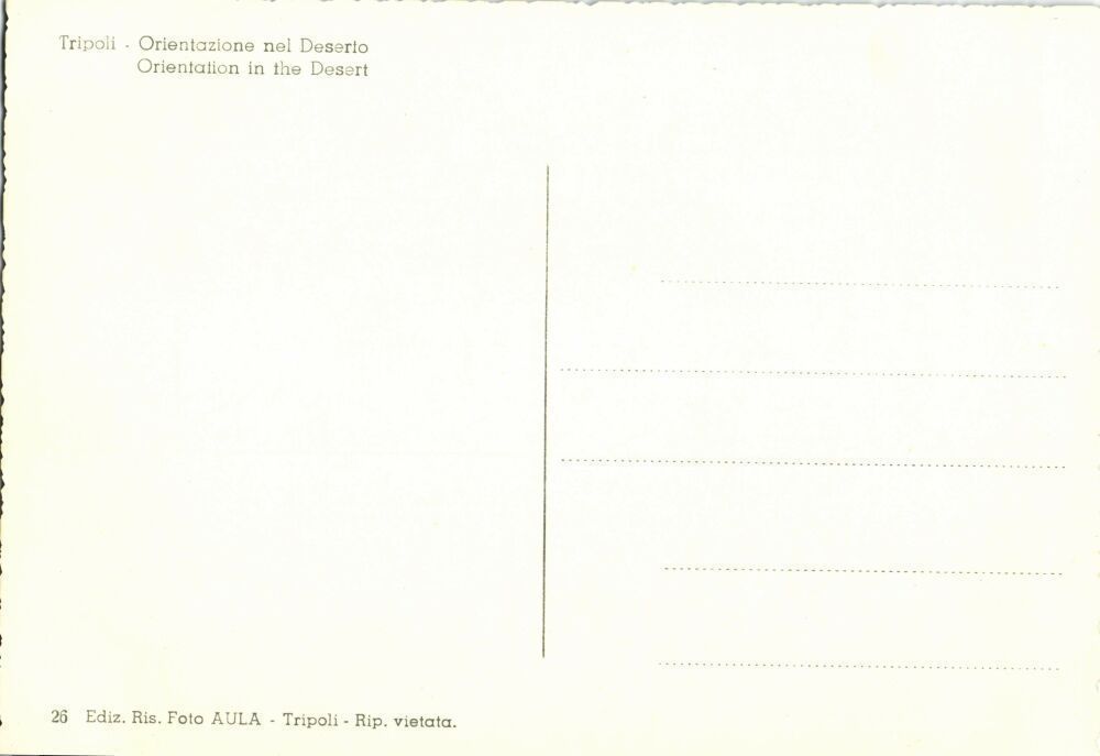 Libya, TRIPOLI, Orientation in the Desert, Camel (1960s) Postcard ...