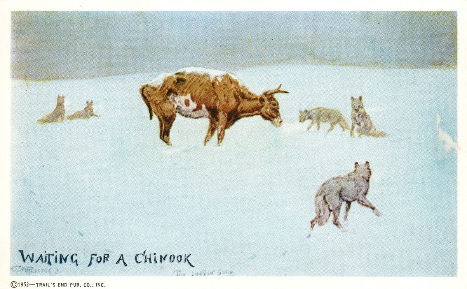 Vintage Postcard 1920's Waiting For A Chinook Portrait Animals Trail's ...