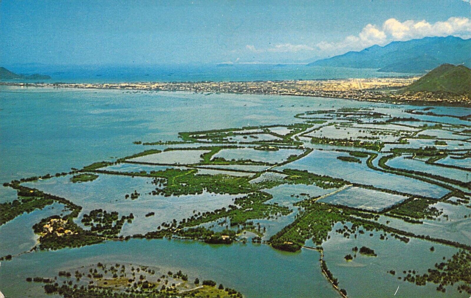 Vietnam War Era, Typical Hamlet in Rice Paddy Area, Old Postcard ...