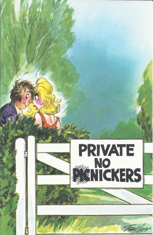 Vintage 1970's Bamforth COMIC Postcard, Private no - nickers #461 ...