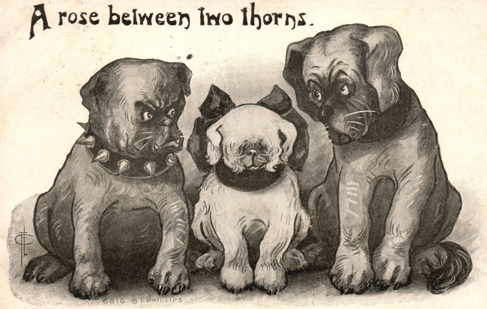 Vintage Postcard 1911 A Rose Between Two Thorns Dogs Lovers Quarrel ...