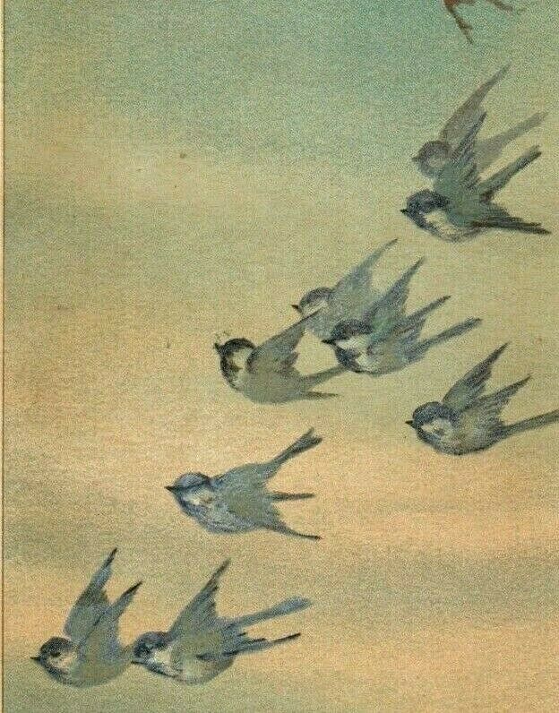 1893 Victorian Trade Card Beautiful Wild Birds Sparrows? #5G | Ephemera ...
