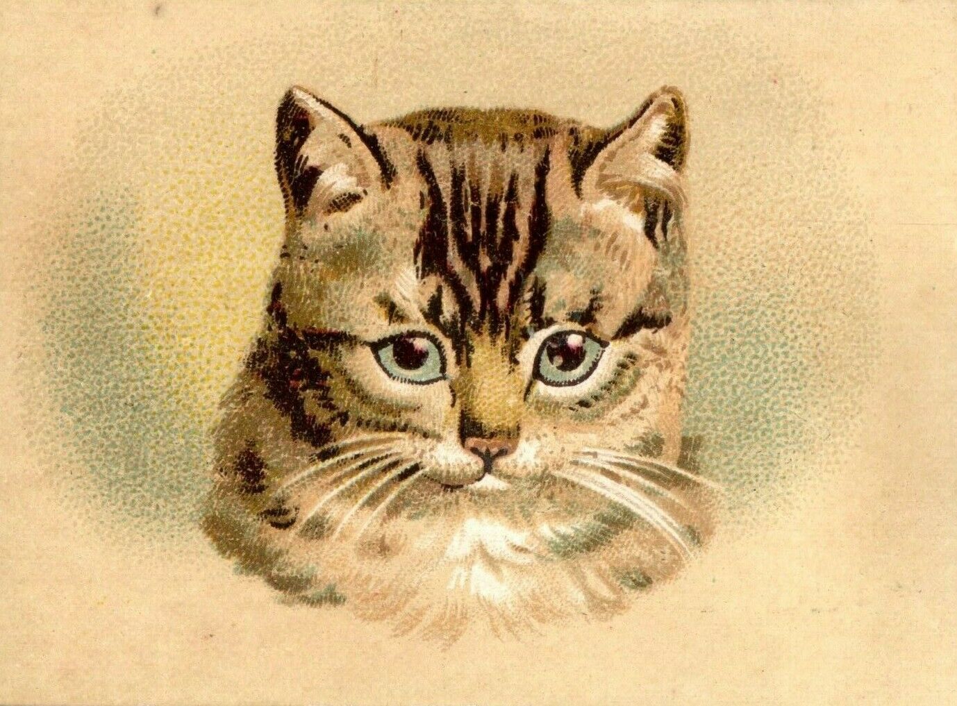 1870s-80s Lovely Cat Burnham's Art Store Materials Engravings Trade ...
